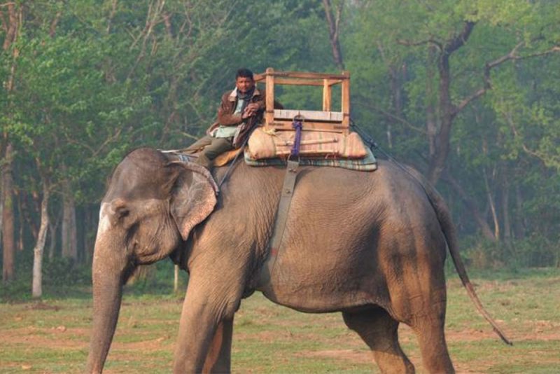 How to lead change that sticks: Engage Elephant & Rider
